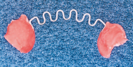 Welcome to Triple O Dental Laboratories | Triple O